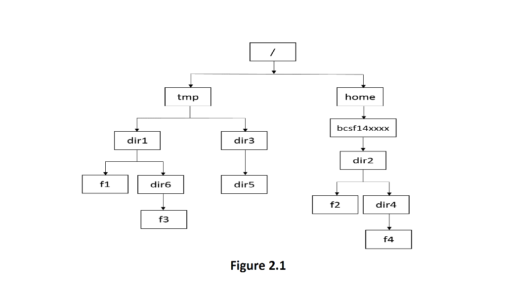 Solved tmp home bcsf14xxxx dir1 dir3 dir2 f1 dir6 dir5 f2 | Chegg.com