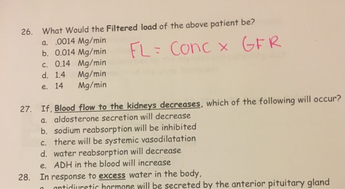 Solved What Would the Filtered load of the above patient be? | Chegg.com