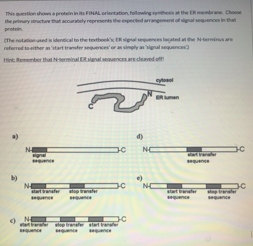 Solved This question shows a protein in its FINAL | Chegg.com