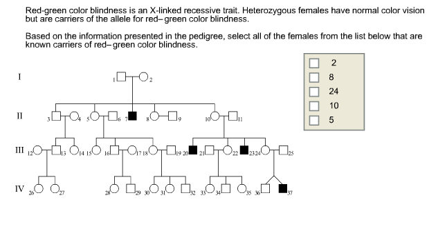 Solved Red-green color blindnessis an X-inked recessive | Chegg.com
