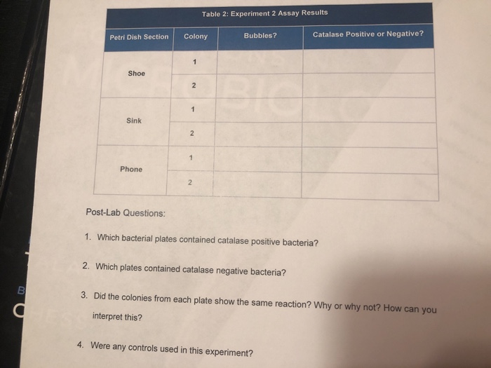 Solved Table 2: Experiment 2 Assay Results Catalase Positive | Chegg.com