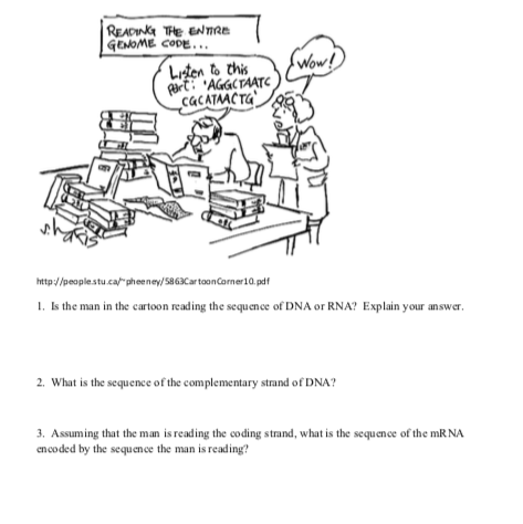 Dna Sequencing Cartoon