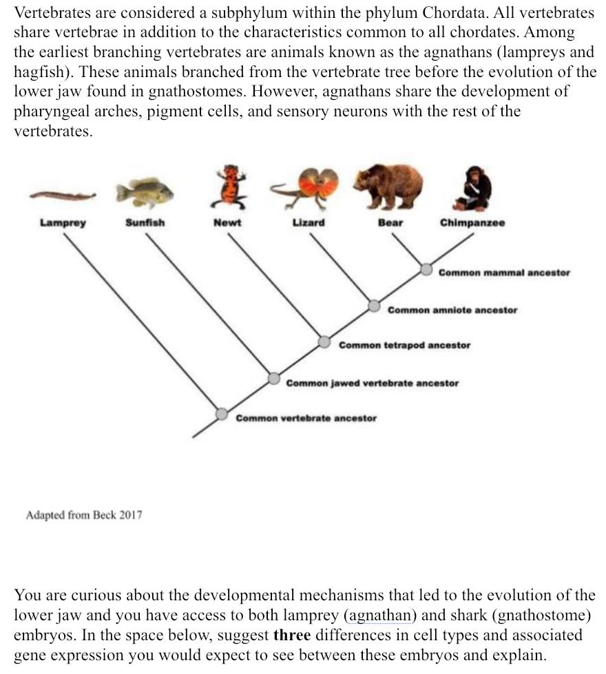 Solved Explain throughly and concisely so I can understand, | Chegg.com