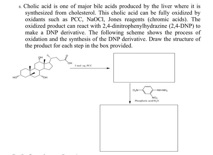Solved 6. Cholic acid is one of major bile acids produced by | Chegg.com