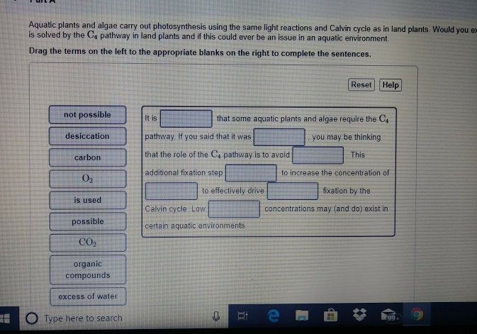 Solved Aquatic plants and algae carry out photosynthesis | Chegg.com