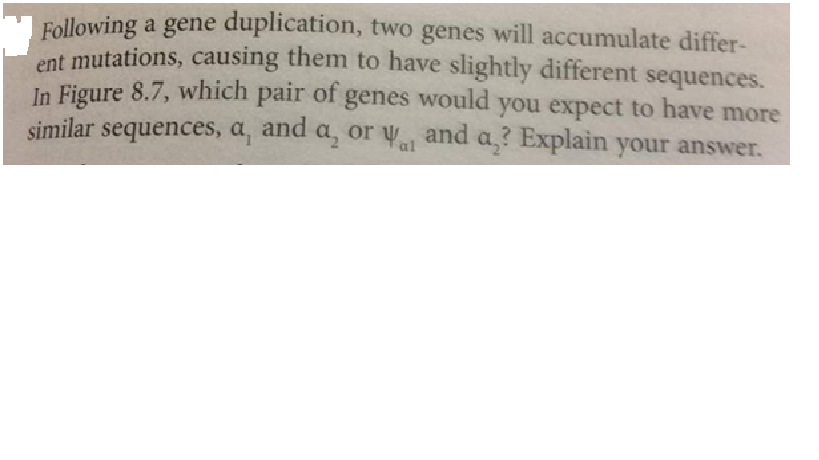 Solved Follo wing a gene duplication, two genes will | Chegg.com