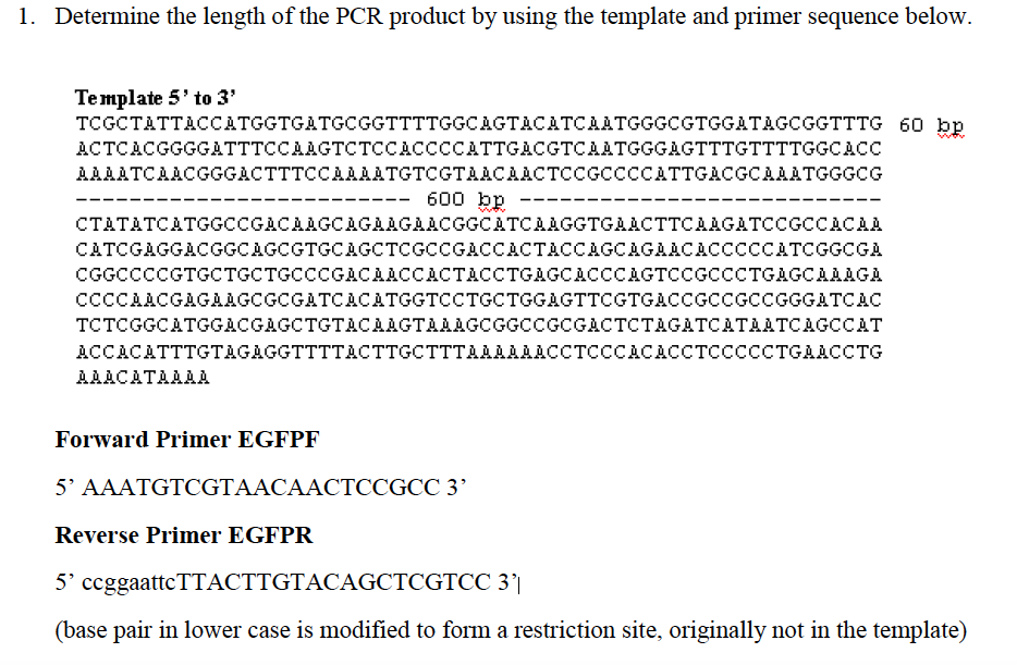 1. Determine the length of the PCR product by using | Chegg.com