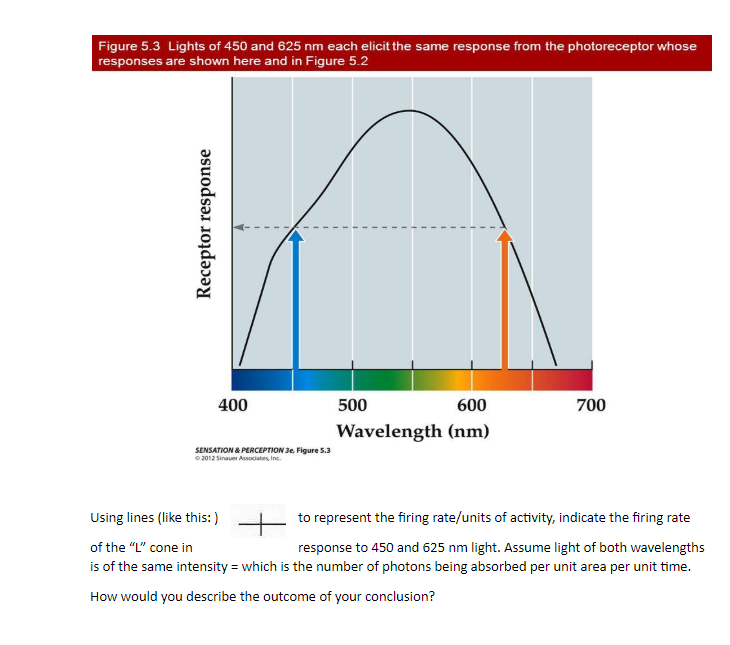 Figure 5.3 Lights of 450 and 625 nm each elicit the | Chegg.com