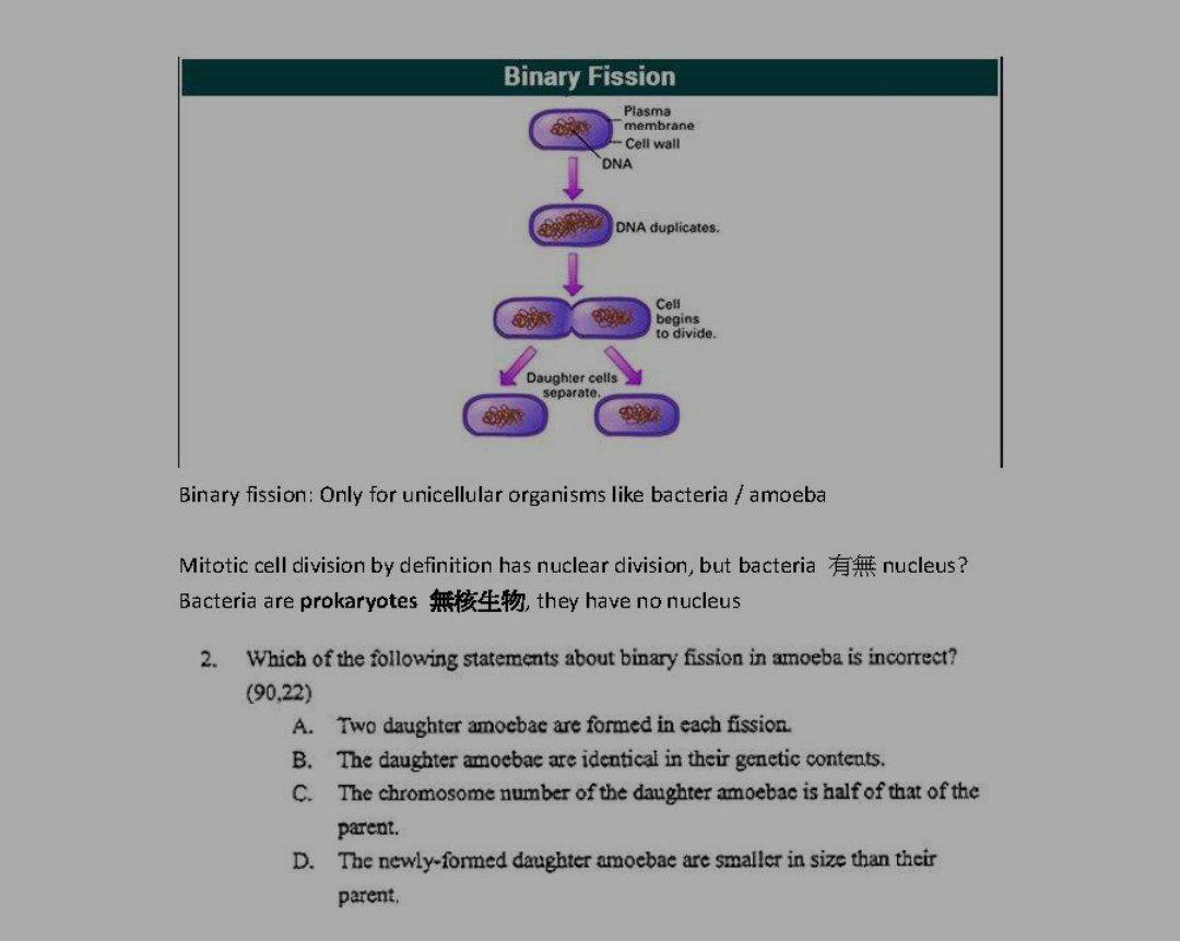 Solved Binary Fission Plasma membrane Cell wall DNA DNA | Chegg.com