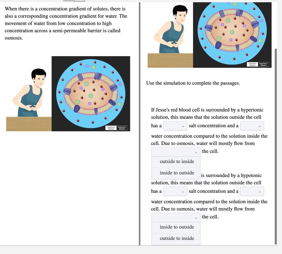Solved When there is a concentration gradient of solutes, | Chegg.com