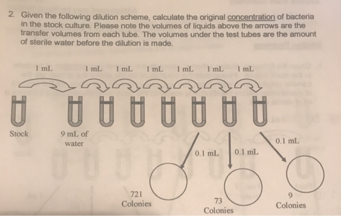 Solved 2. Given the following dilution scheme, calculate the | Chegg.com