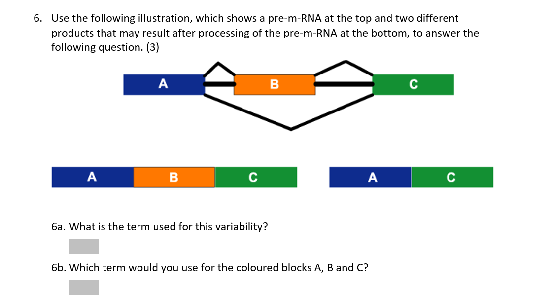 Solved 6. Use the following illustration, which shows a | Chegg.com
