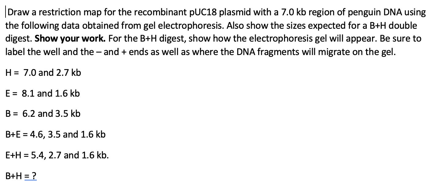 Solved Draw a restriction map for the recombinant pUC18 | Chegg.com