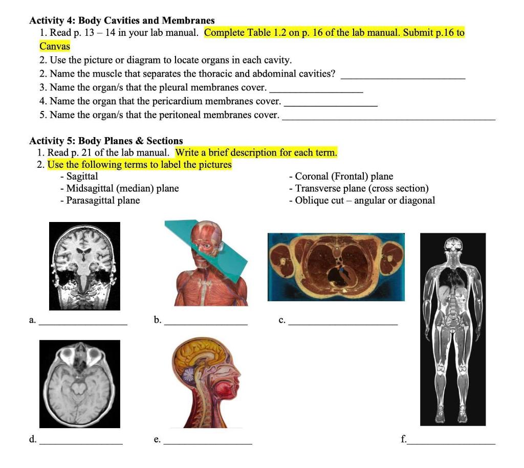 Anatomical Directions Chart
