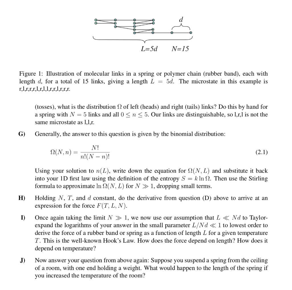 Let’s figure out the physics of springs and rubber | Chegg.com