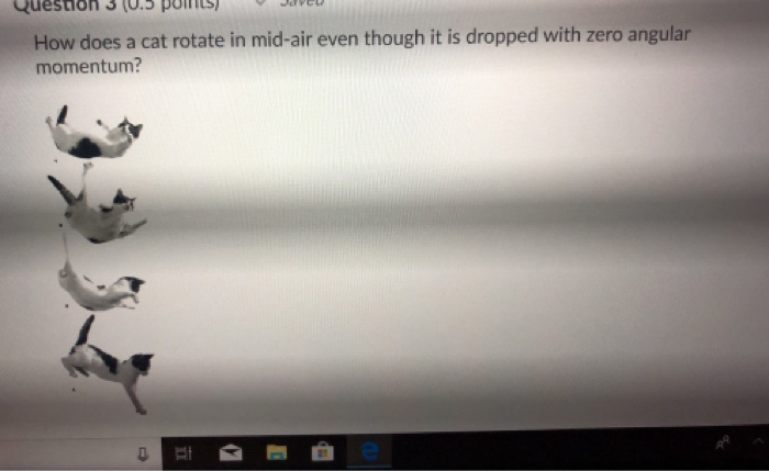 Solved Question 3 (0.5 PUNTS] Juveu How does a cat rotate in | Chegg.com