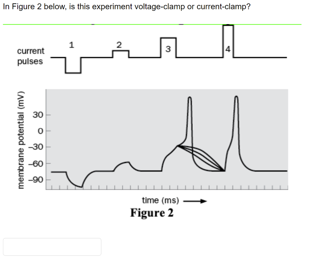 Solved In Figure 2 below, is this experiment voltage-clamp | Chegg.com