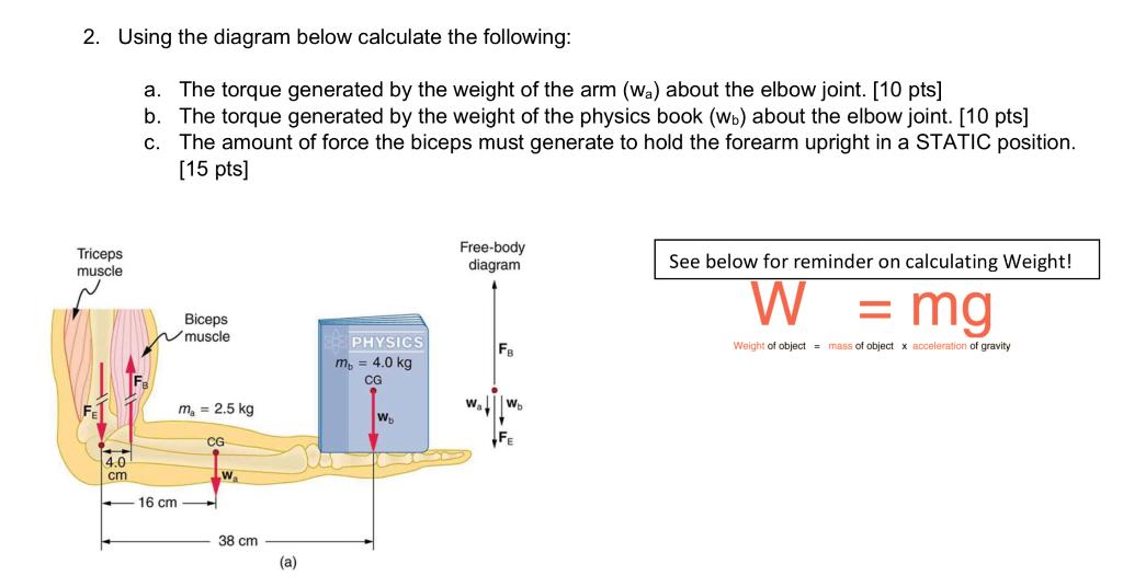 Solved 1. The torque generated by the weight of the arm (wa) | Chegg.com