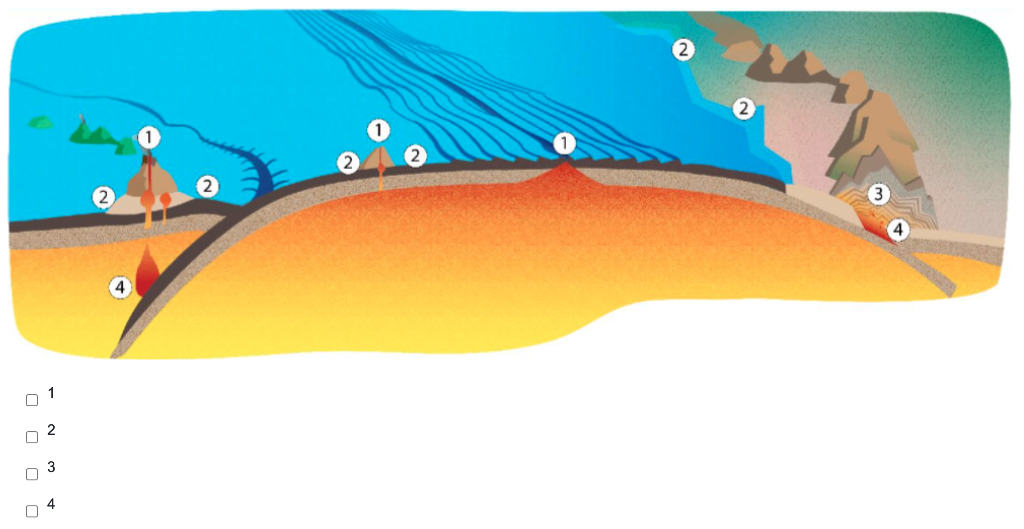 Solved A.) Based on the diagram of the rock cycle in terms | Chegg.com