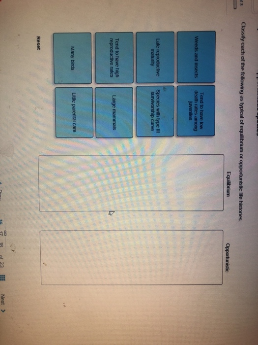 Solved Classify each of the following as typical of | Chegg.com