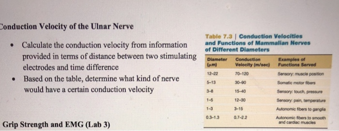 Solved Human Nerve Conduction (Lab 2) Comment on the | Chegg.com