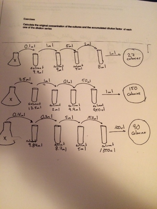 Solved Calculate The Original Concentration Of The Cultures