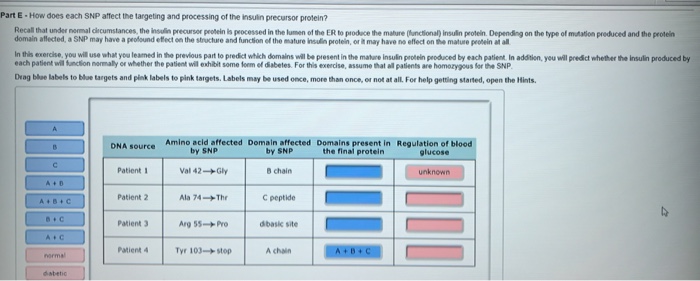 Solved How does each SNP affect the targeting and processing | Chegg.com