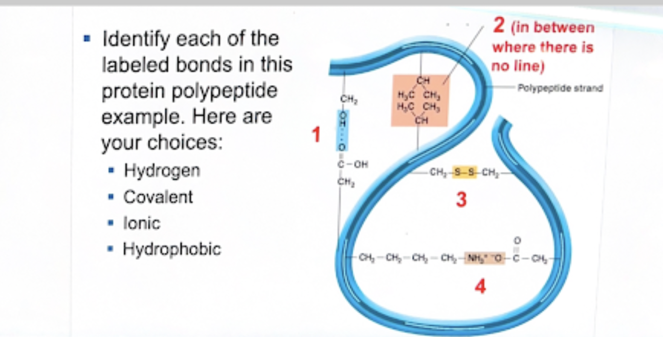 Solved Chemistry 31 4. Label ALL the types of bonds that are | Chegg.com