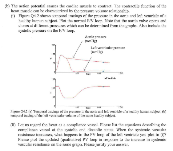 (a) The human body is regarded as a volume conductor. | Chegg.com