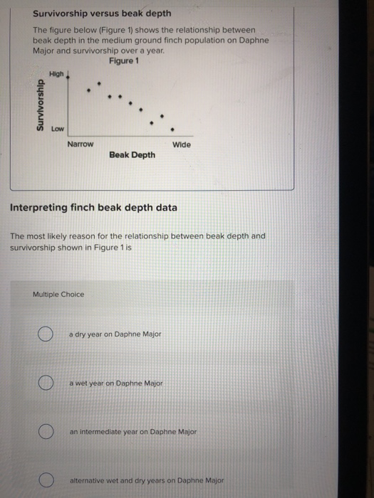 Solved Survivorship versus beak depth The figure below | Chegg.com