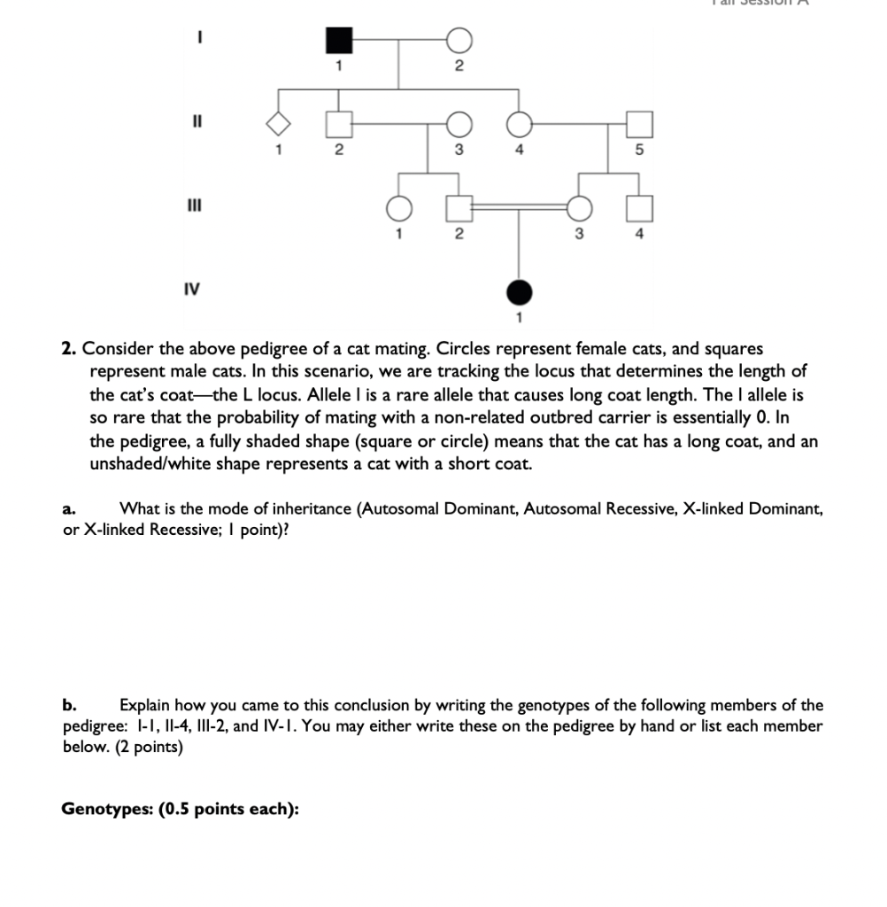 Recitation 4: Genetic Inheritance The following table | Chegg.com