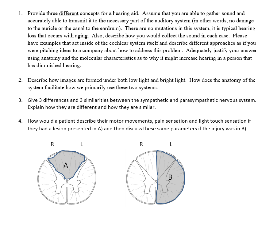 Solved 1. Provide three different concepts for a hearing | Chegg.com