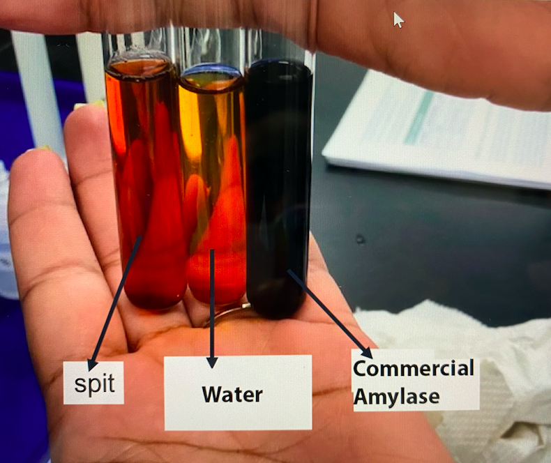Solved Use the image provided to answer the questions | Chegg.com