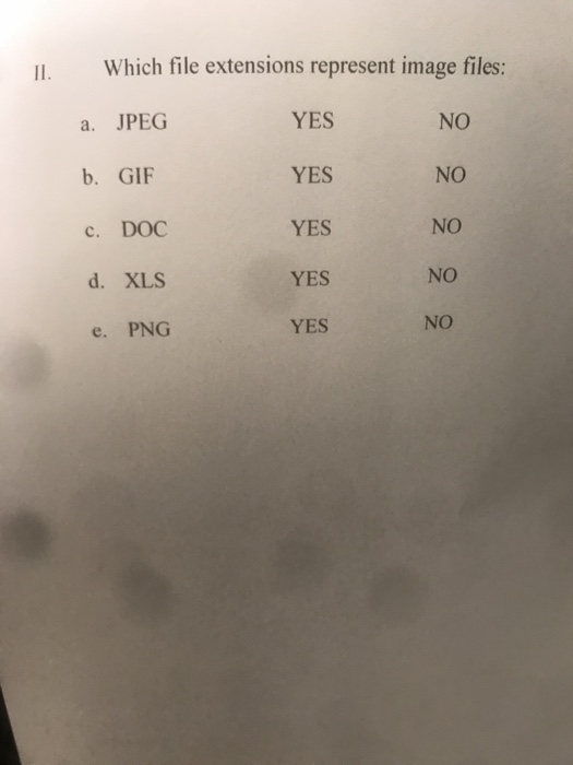Solved IL. Which file extensions represent image files: a. | Chegg.com