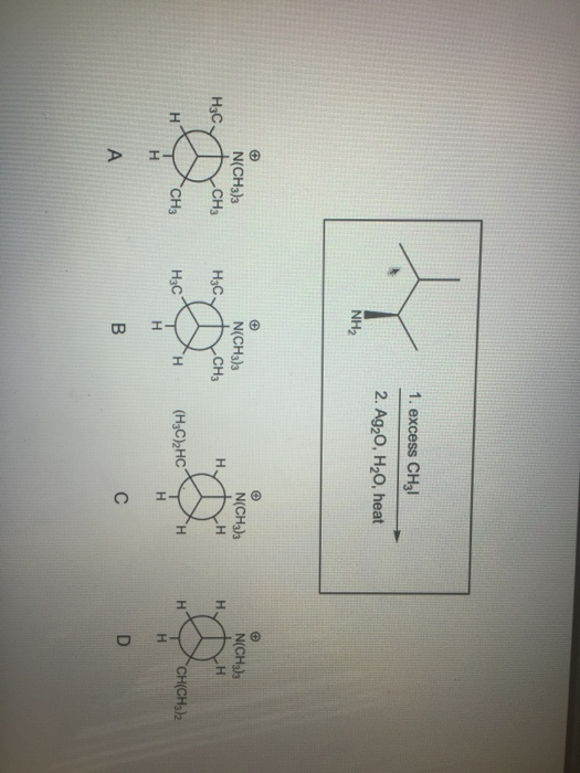 Solved 1. excess CH3l 2. Ag20, H20, heat NH2 N(CH3)s N(CH3)3 | Chegg.com