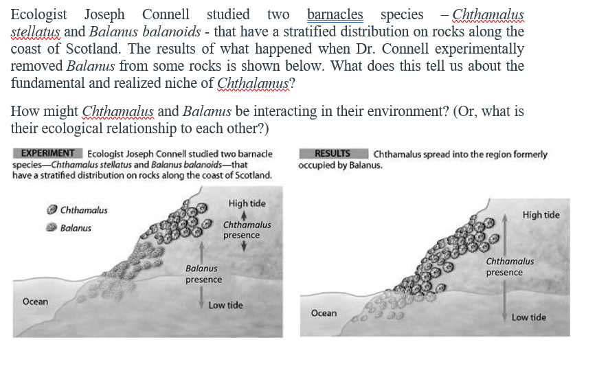 Solved Ecologist Joseph Connell studied two barnacles | Chegg.com