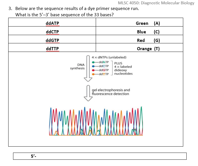 Solved MLSC 4050: Diagnostic Molecular Biology Green (A) | Chegg.com