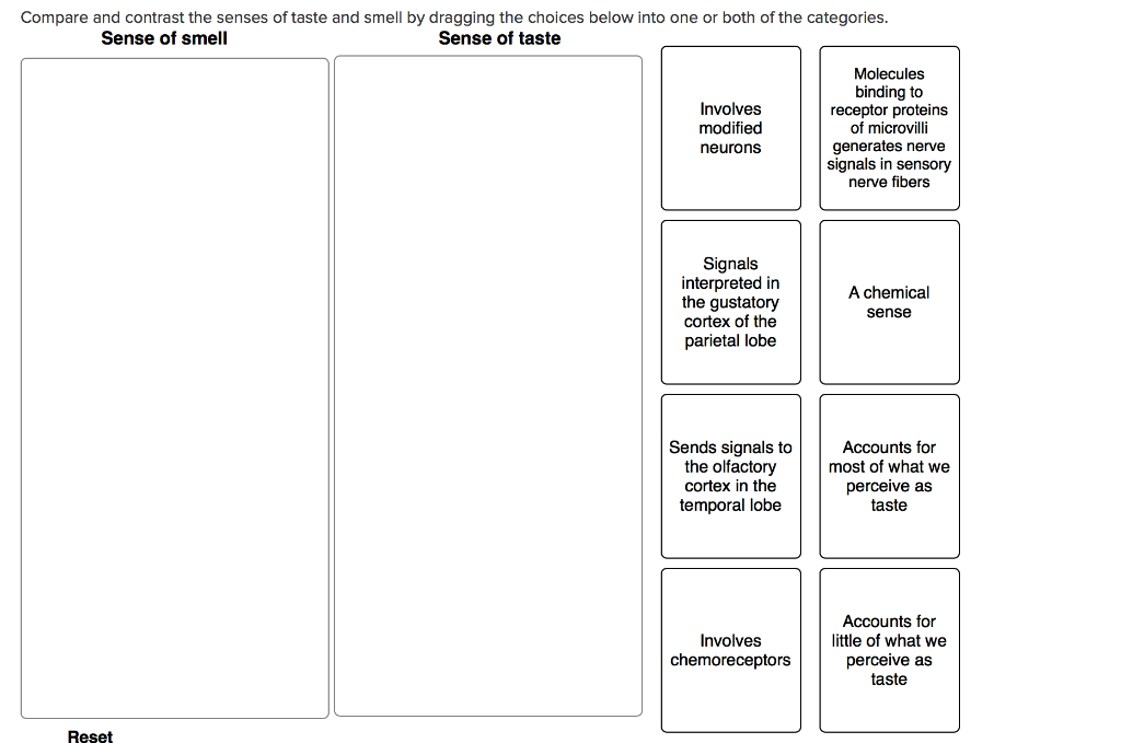 Solved Compare and contrast the senses of taste and smell by | Chegg.com