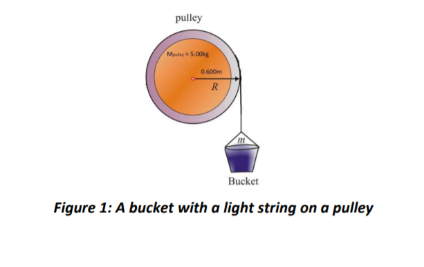 Solved The light string attached to the bucket of mass 3.00 | Chegg.com