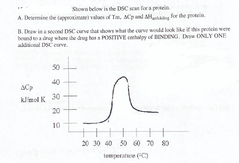 Shown below is the DSC scan for a protein A. | Chegg.com