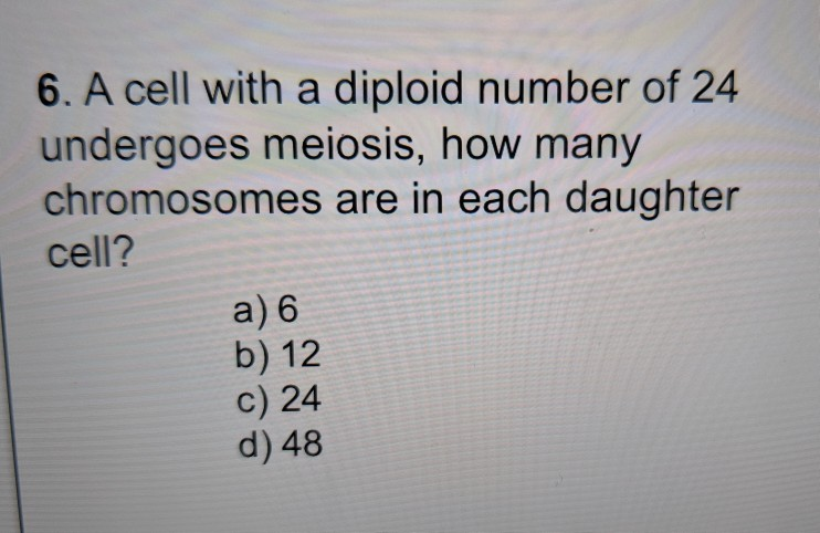 Solved 6. A cell with a diploid number of 24 undergoes | Chegg.com