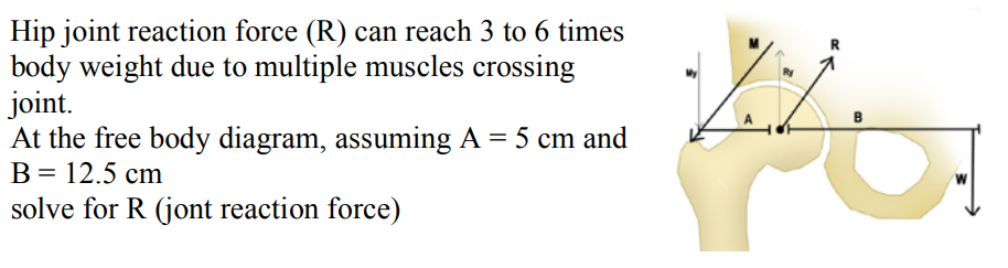 Solved Hip joint reaction force (R) can reach 3 to 6 times | Chegg.com