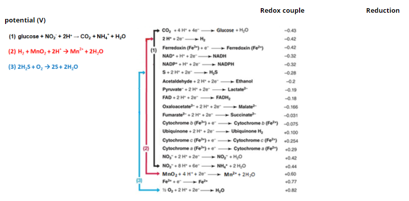 Solved Q1. Calculate the difference in reduction potentials | Chegg.com