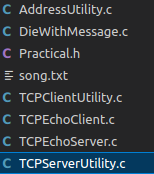 Solved You will use the ICP echo client and server code (for | Chegg.com