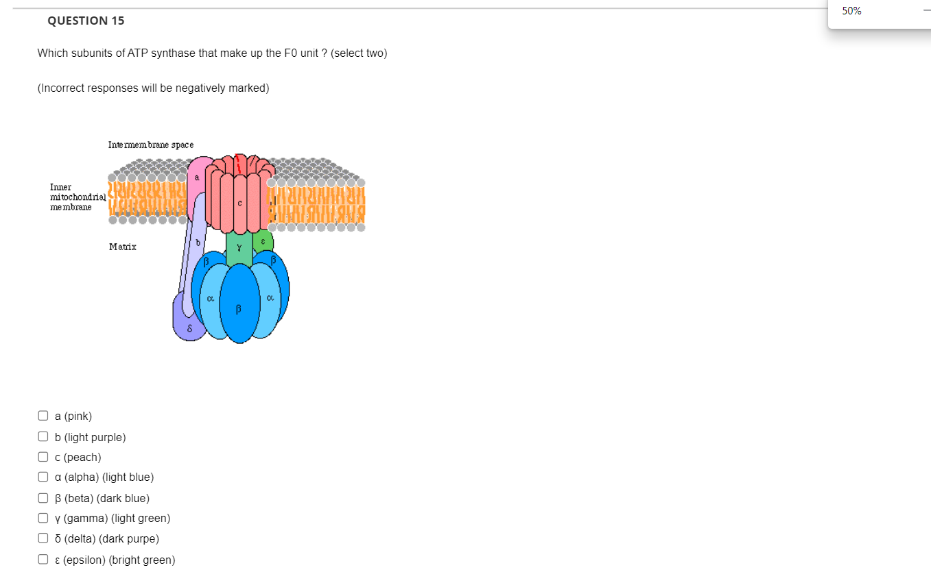 Solved Which subunits of ATP synthase that make up the F0 | Chegg.com