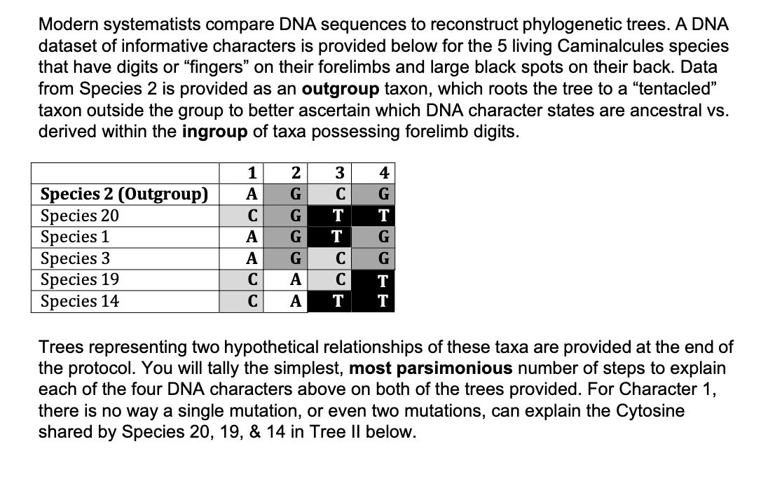 Solved Modern systematists compare DNA sequences to | Chegg.com