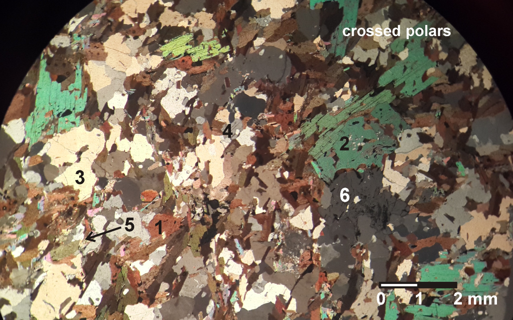 Solved I am trying to identify these metamorphic rocks thin | Chegg.com