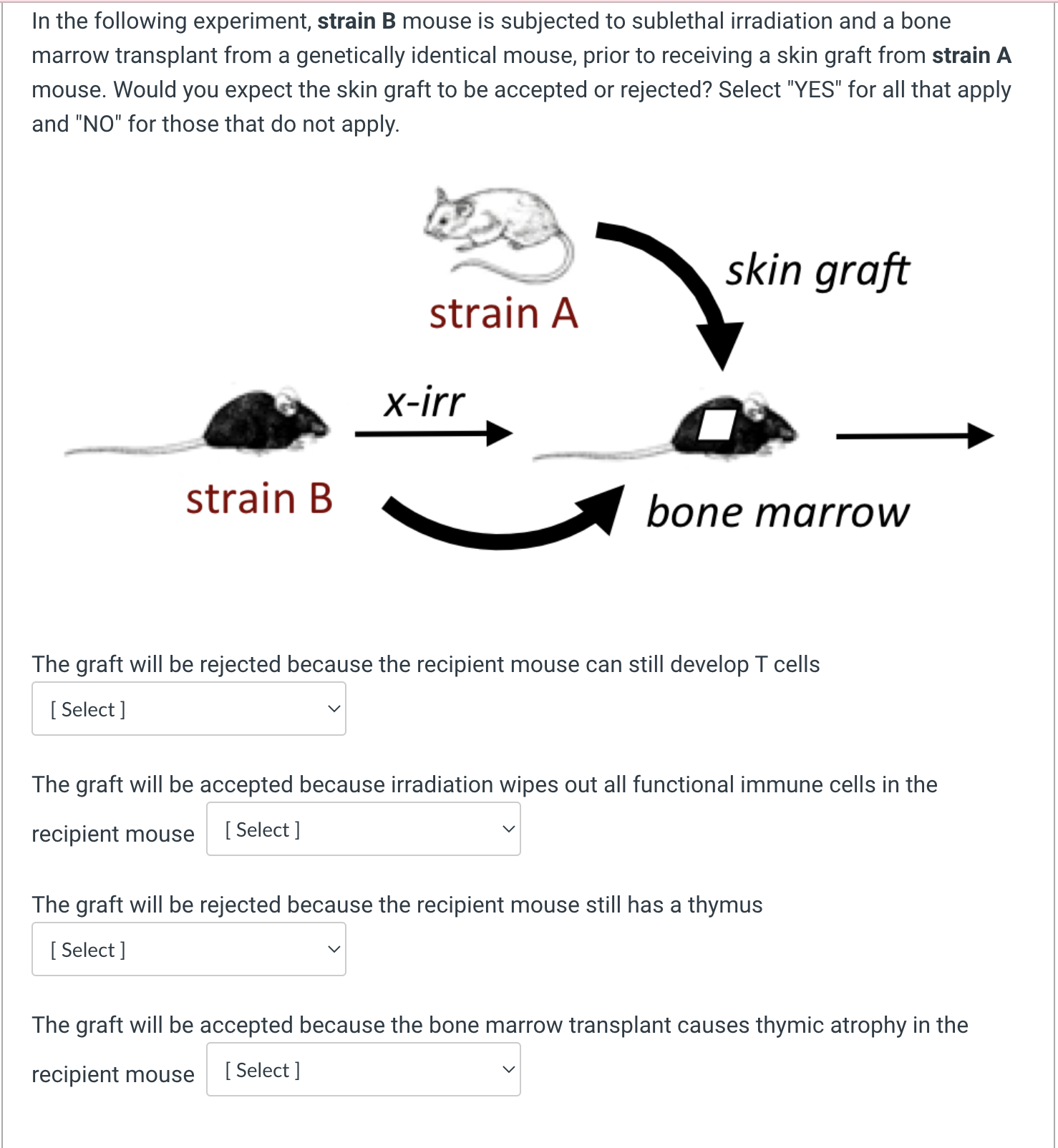 Solved In the following experiment, strain B mouse is | Chegg.com