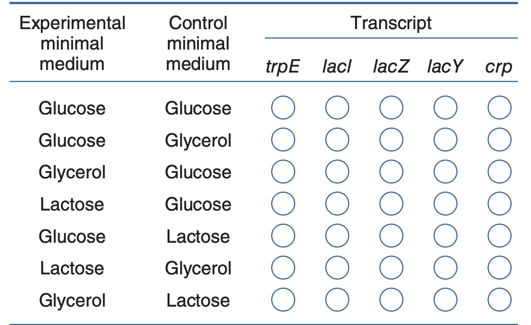 Solved A functional genomics experiment is carried out in E. | Chegg.com