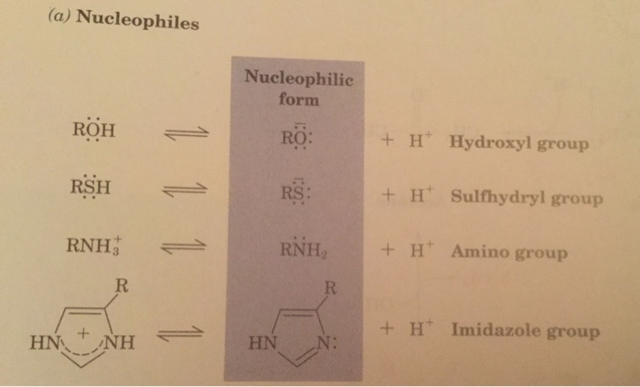 Solved (a) Nucleophiles ROH RSH RNH HN NH Nucleophilic form | Chegg.com